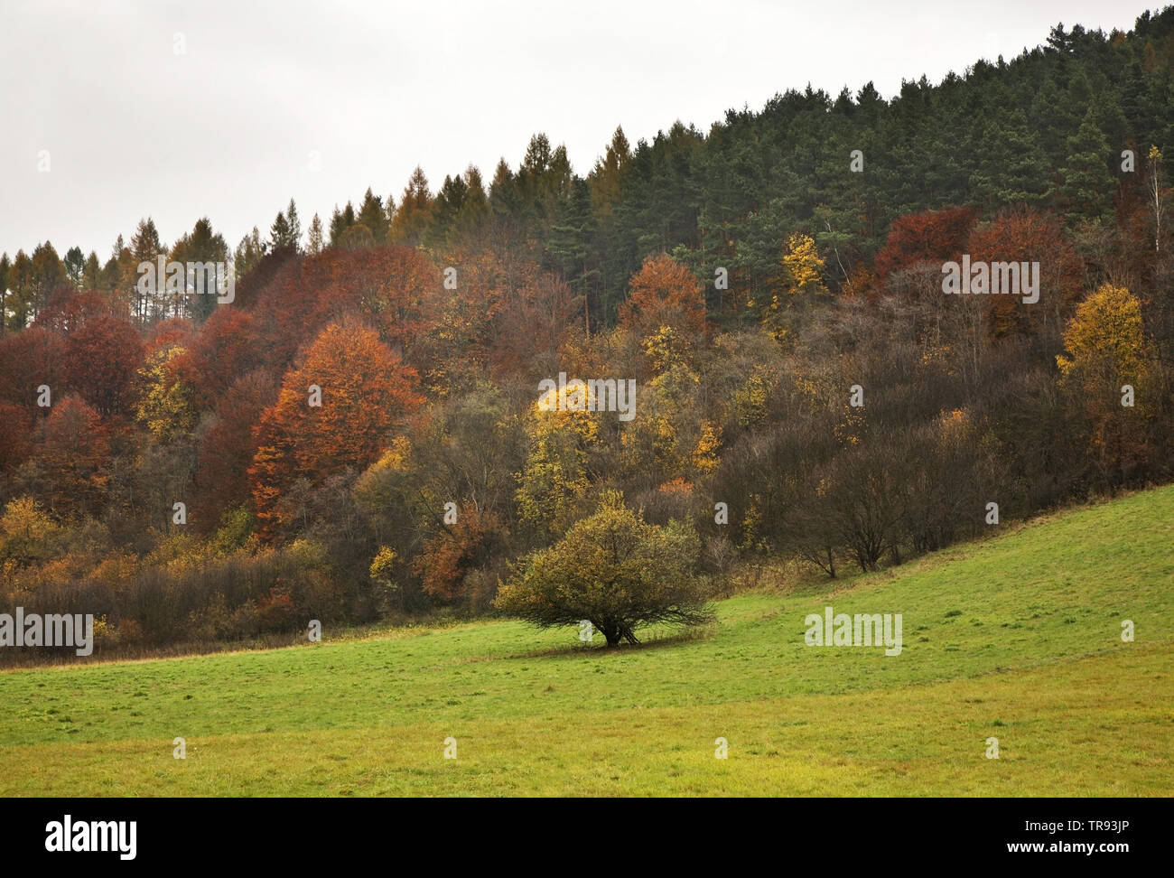 Landscape near Leluchow. Poland Stock Photo - Alamy Landscape near Leluchow. Poland Stock Photo - Alamy