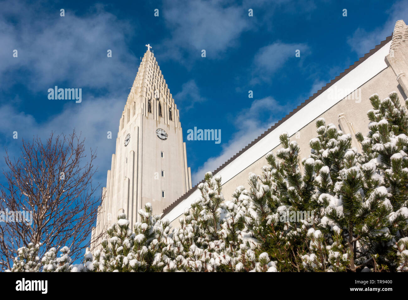 The Hallgrímskirkja (church of Hallgrímur) in Reykjavik, Iceland Stock ...