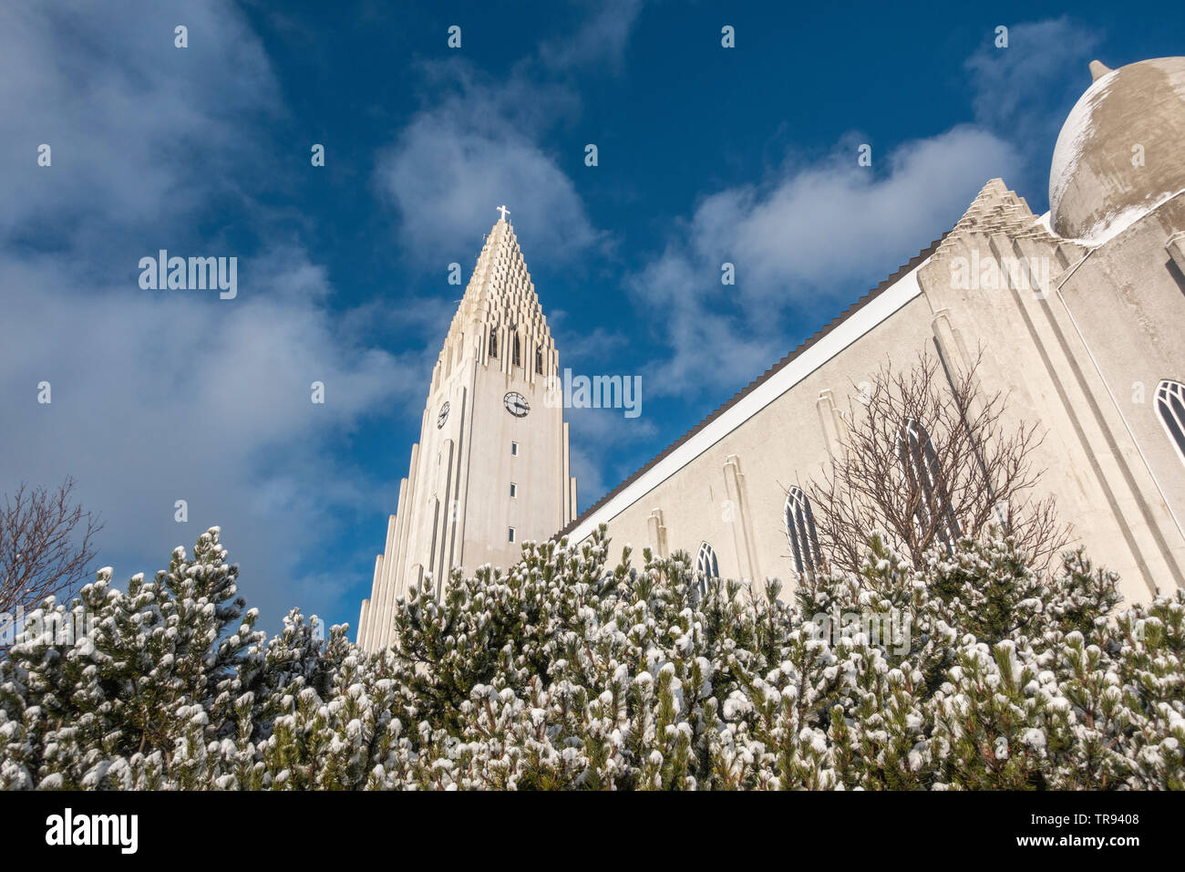 The Hallgrímskirkja (church of Hallgrímur) in Reykjavik, Iceland Stock ...