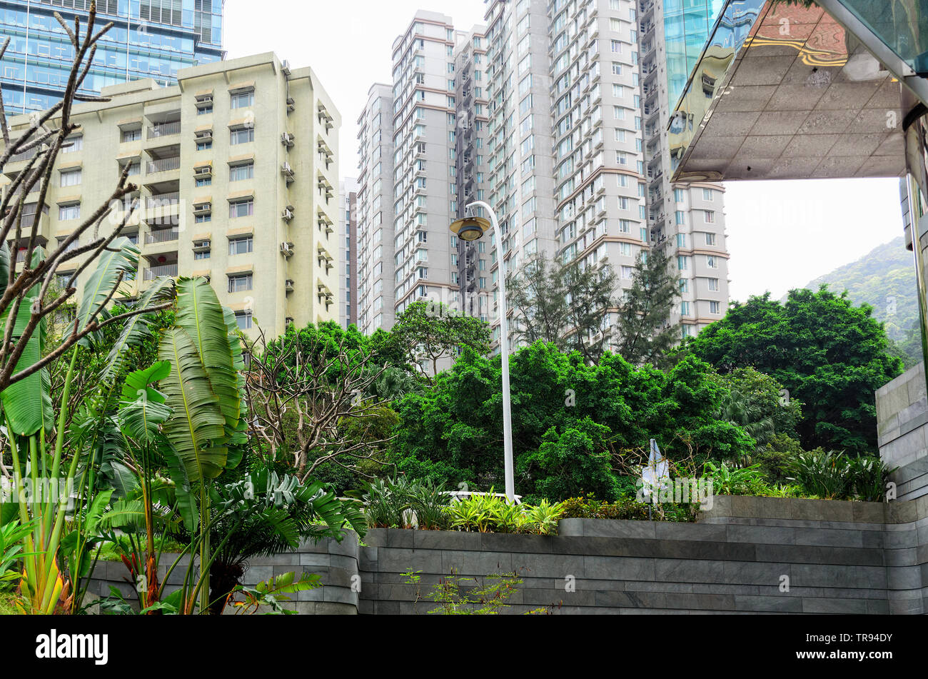 Hong Kong street with skyscrapers and green trees. Harmonious urban ...