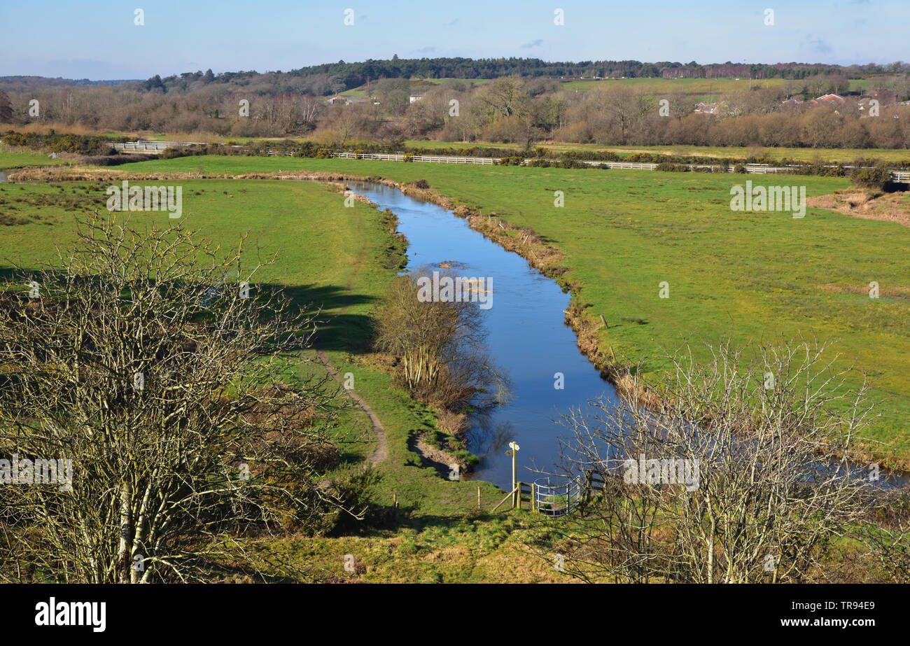 Piddle hi-res stock photography and images - Alamy