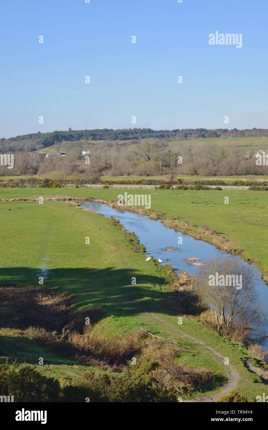 Piddle hi-res stock photography and images - Alamy