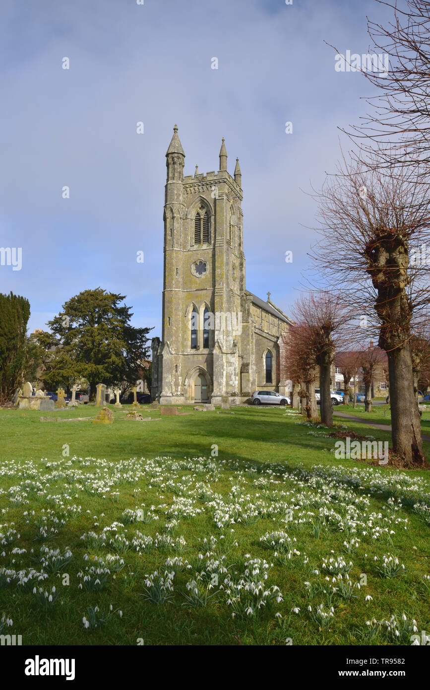 Snowdrops at the redundant Holy Trinity Church, Shaftesbury Stock Photo ...