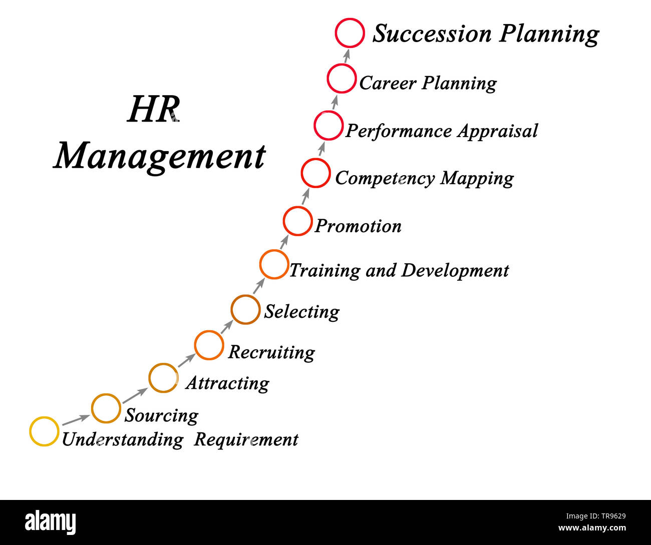 Hr management hi-res stock photography and images - Alamy