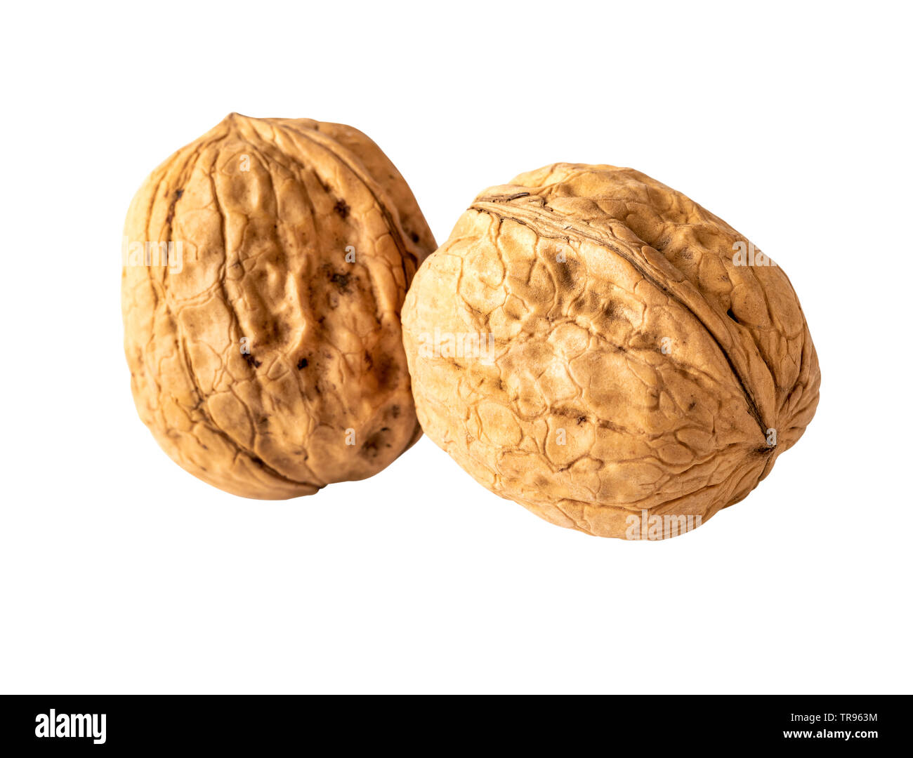 two whole unshelled walnuts isolated on white clipping path Stock Photo ...