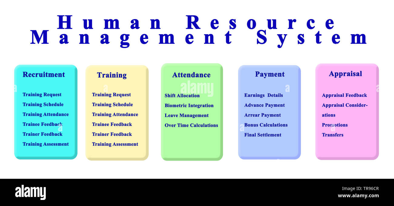 Human resource management Cut Out Stock Images & Pictures - Alamy