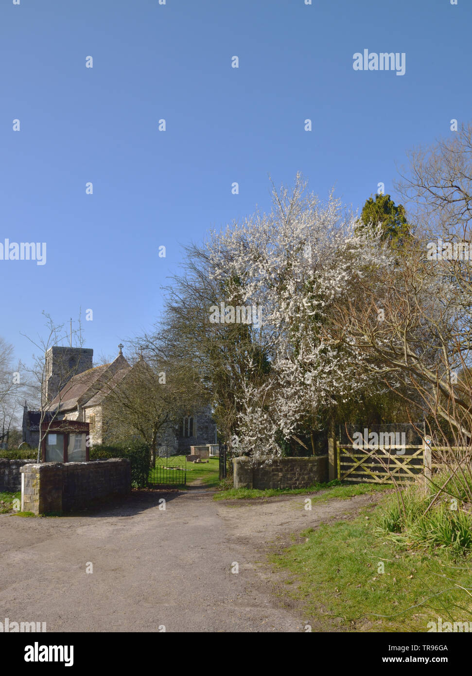 Shapwick hi-res stock photography and images - Alamy