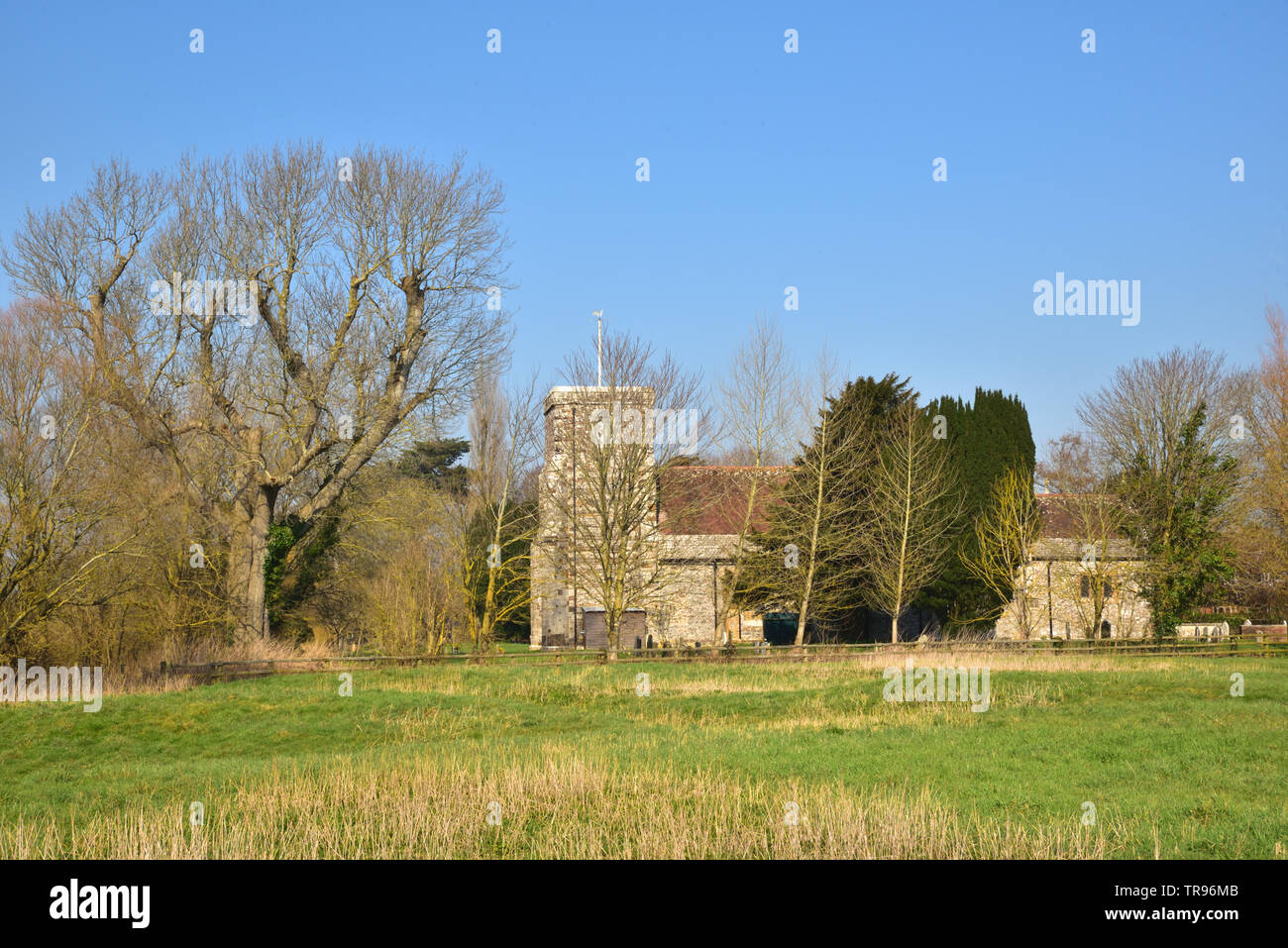 St Bartholomew's church at Shapwick Stock Photo - Alamy