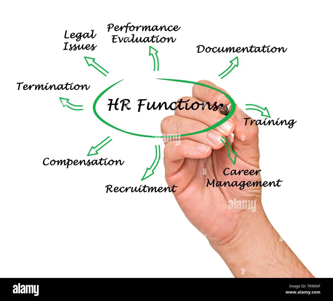 Diagram of HR Functions Stock Photo - Alamy