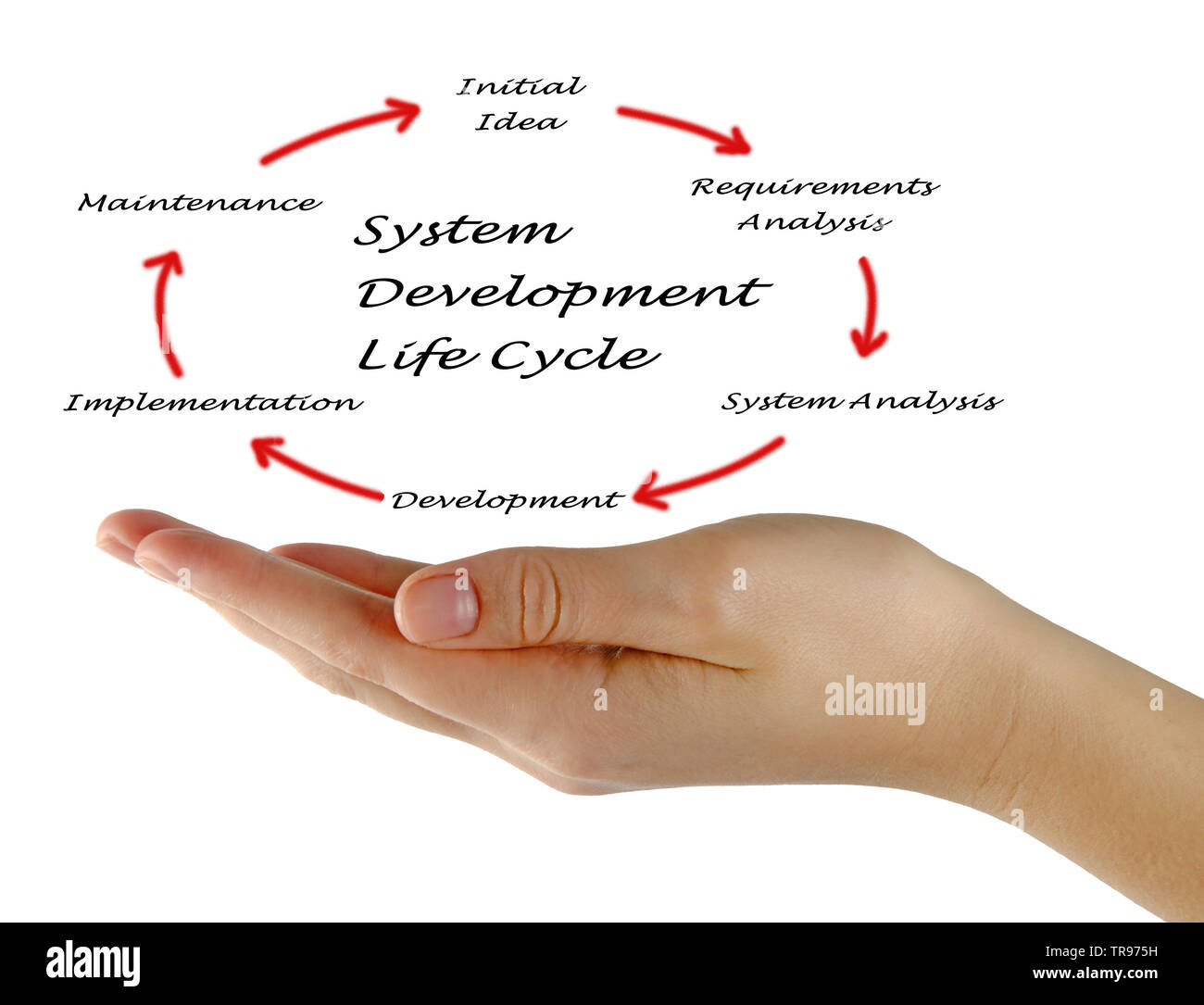 System development life cycle Stock Photo - Alamy