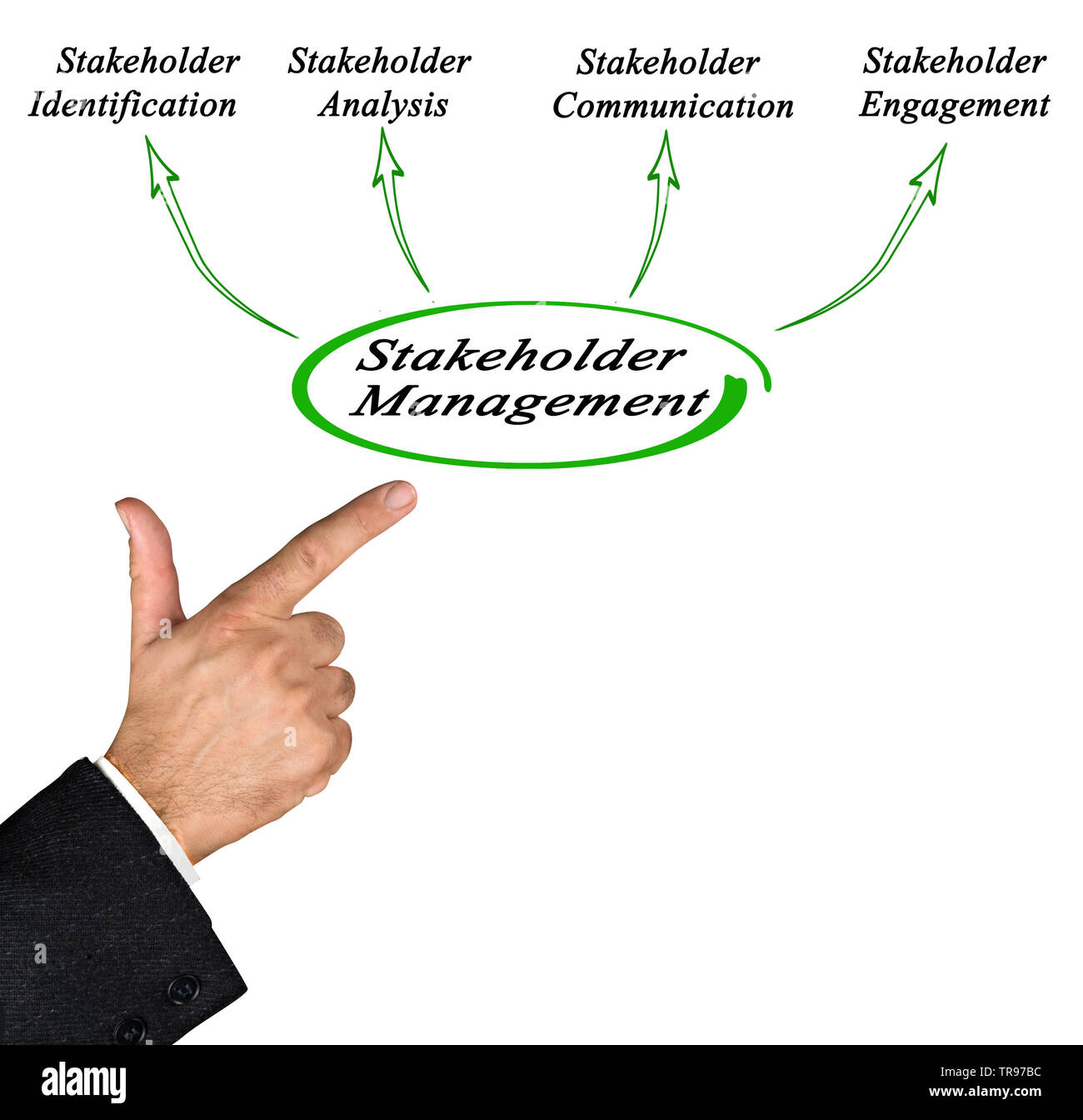 Components of Stakeholder Management Stock Photo - Alamy
