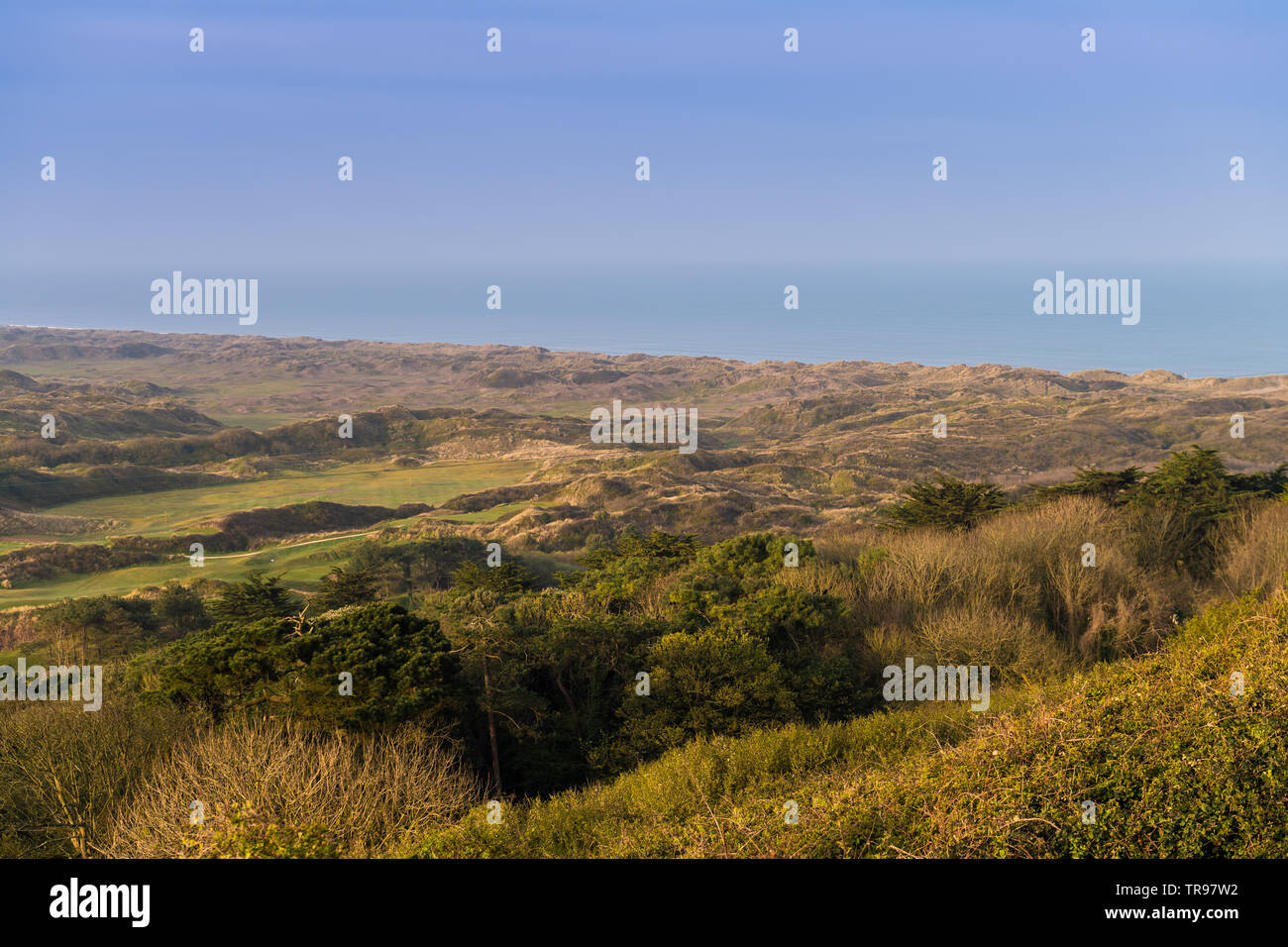 Braunton Burrows North Devon Stock Photo - Alamy