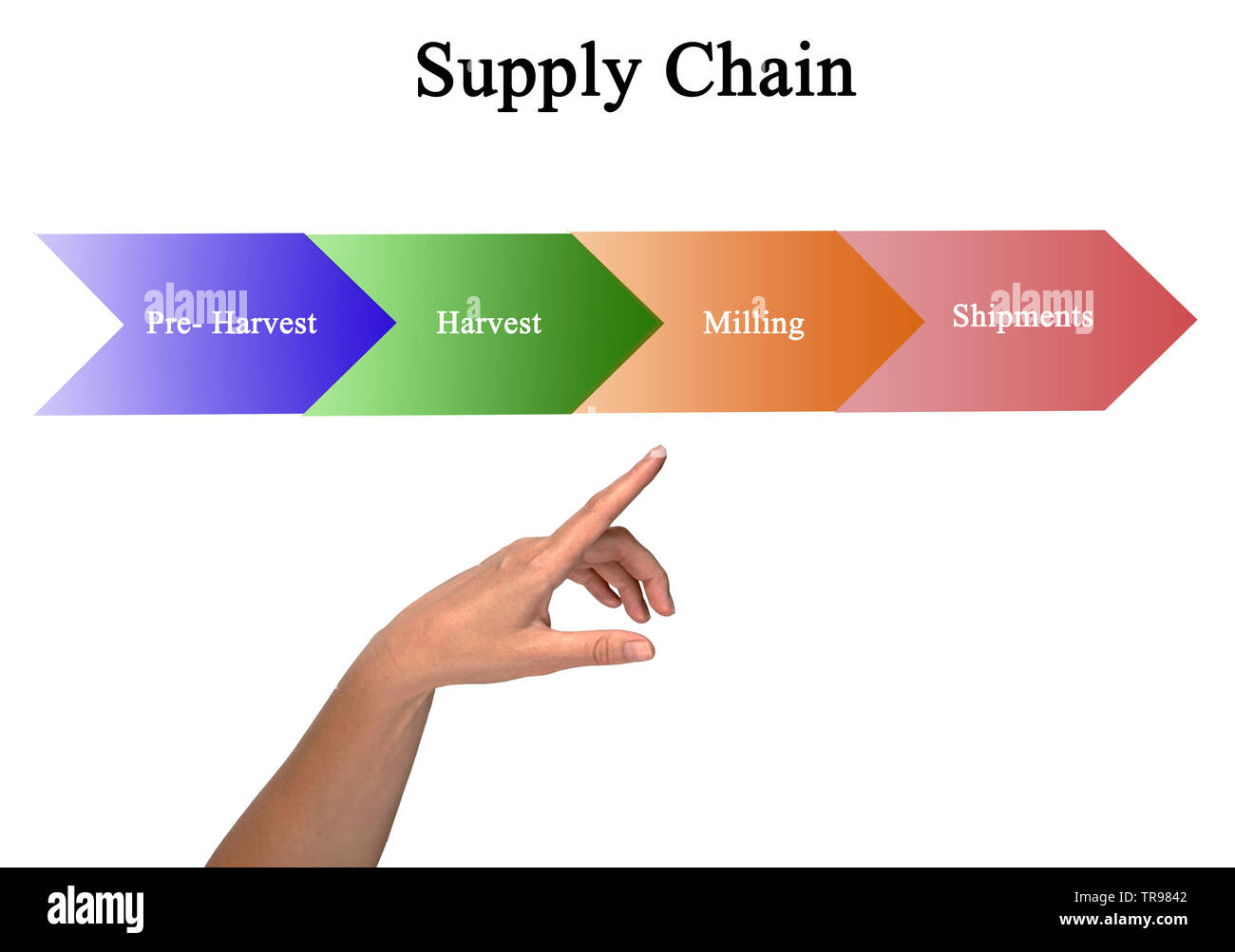 Supply Chain in Agriculture Stock Photo - Alamy