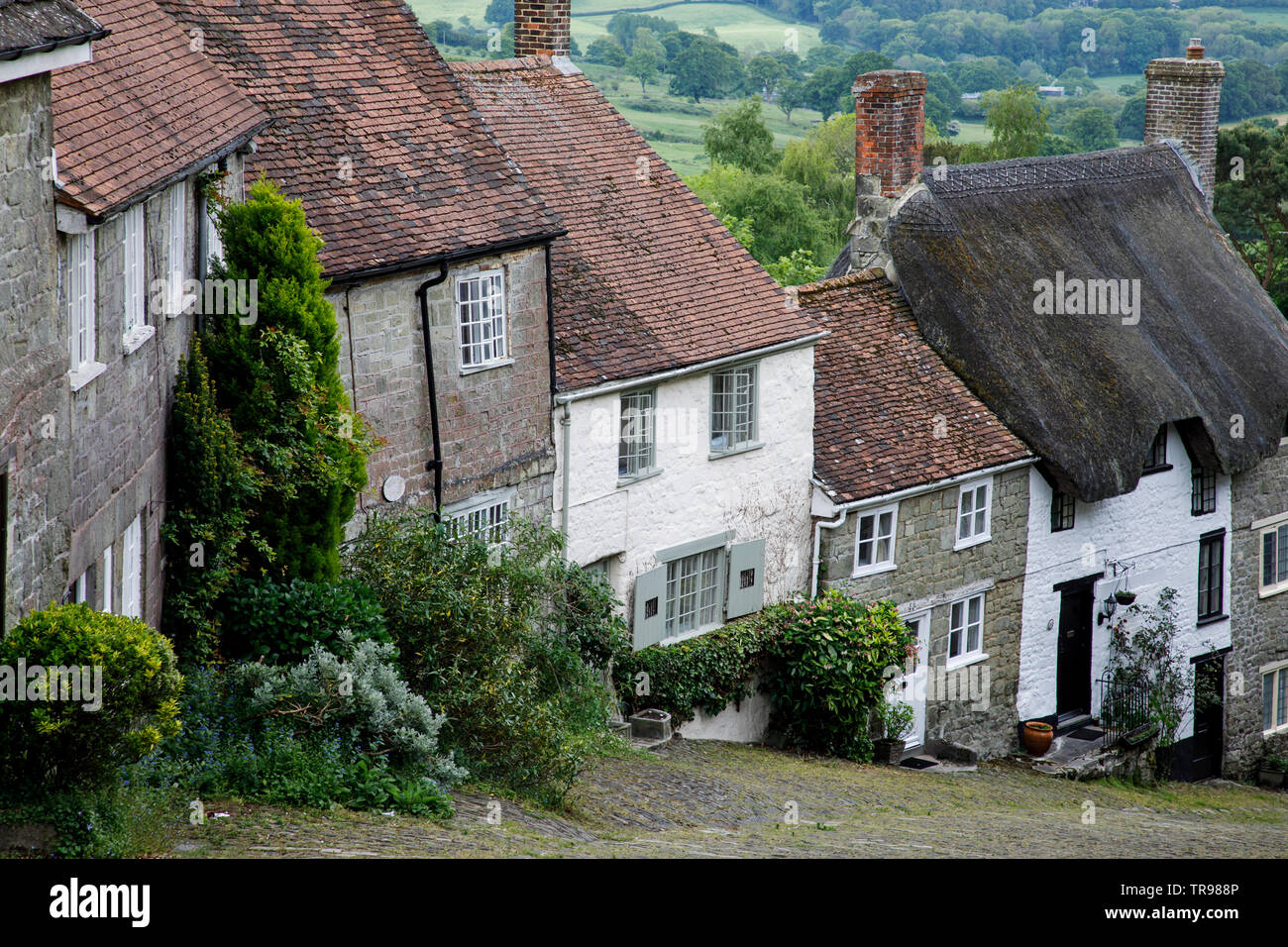 SHAFTESBURY, UK - MAY 19th, 2019: Gold Hill is a steep cobbled street ...