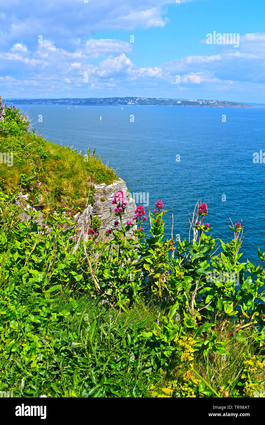 Berry head country park hi-res stock photography and images - Alamy