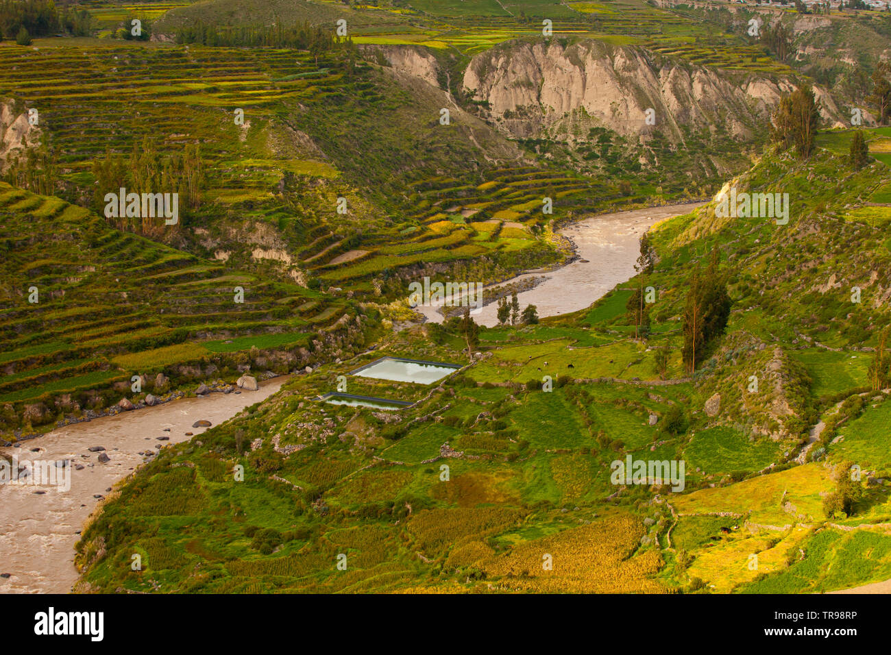 Inca terraces colca valley peru hi-res stock photography and images - Alamy