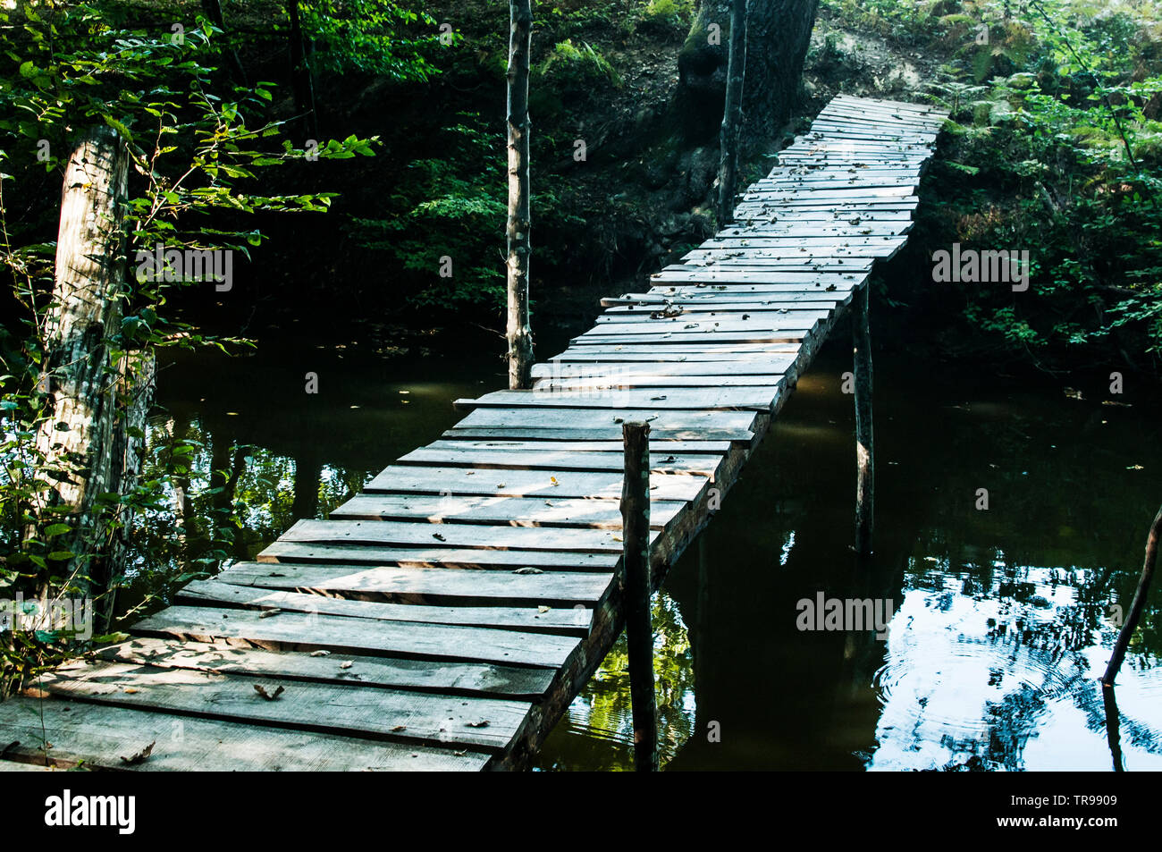 Small wooden boards bridge over small river in fall woods closeup Stock ...