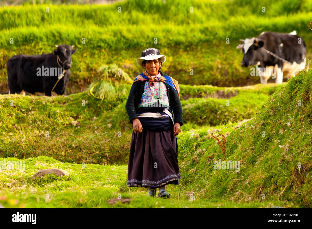 Female worker at Colca Canyon Peru Stock Photo - Alamy
