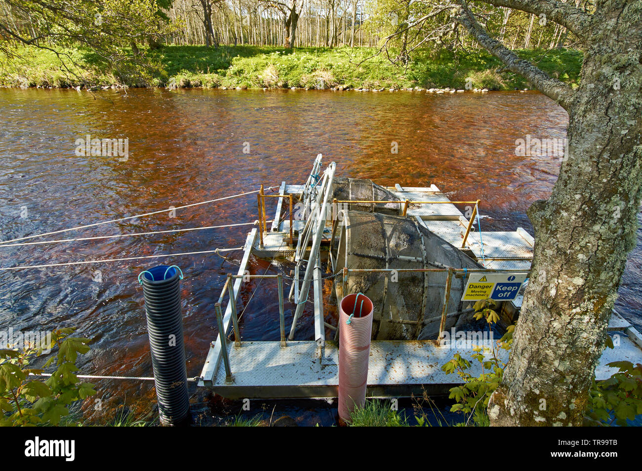 Salmon trap hi-res stock photography and images - Alamy