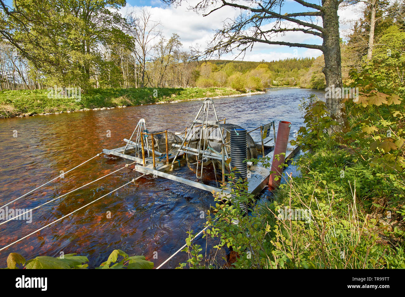 Salmon trap hi-res stock photography and images - Alamy