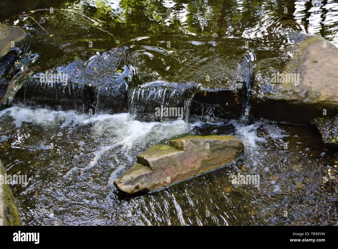 Small stream of flowing water in a park Stock Photo - Alamy