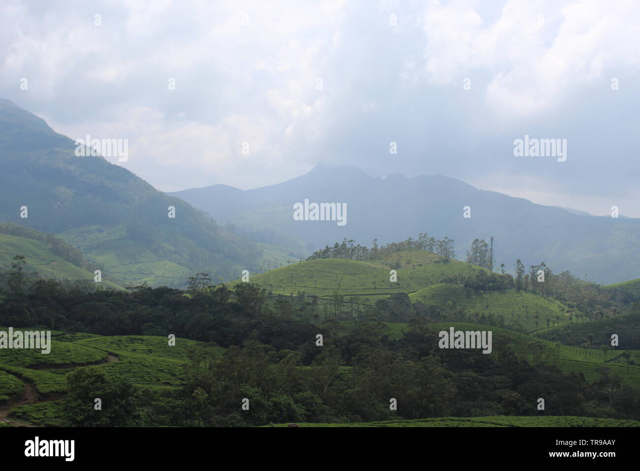 Munnar lake hi-res stock photography and images - Alamy