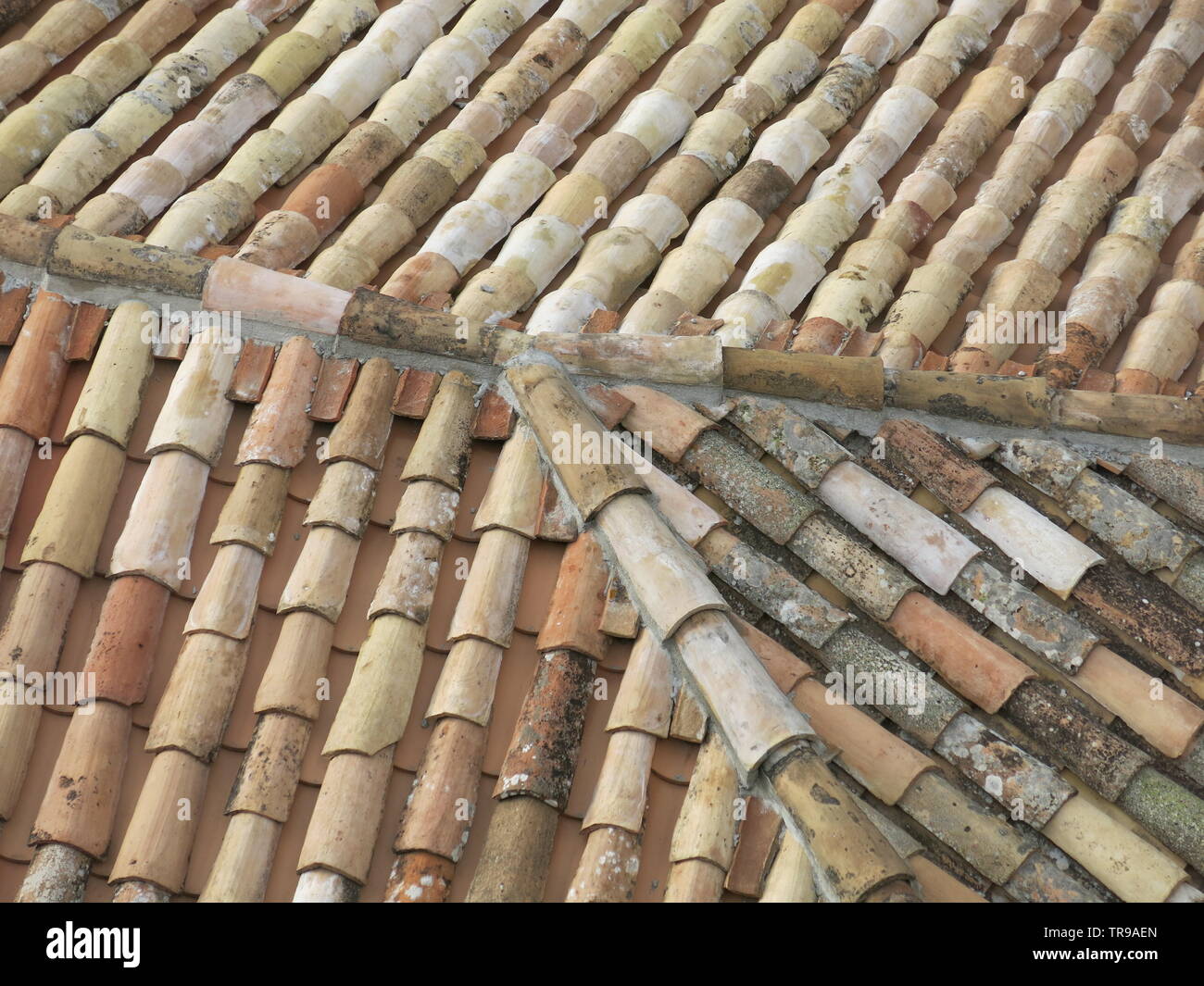 Curved terracotta roof tiles hi-res stock photography and images - Alamy