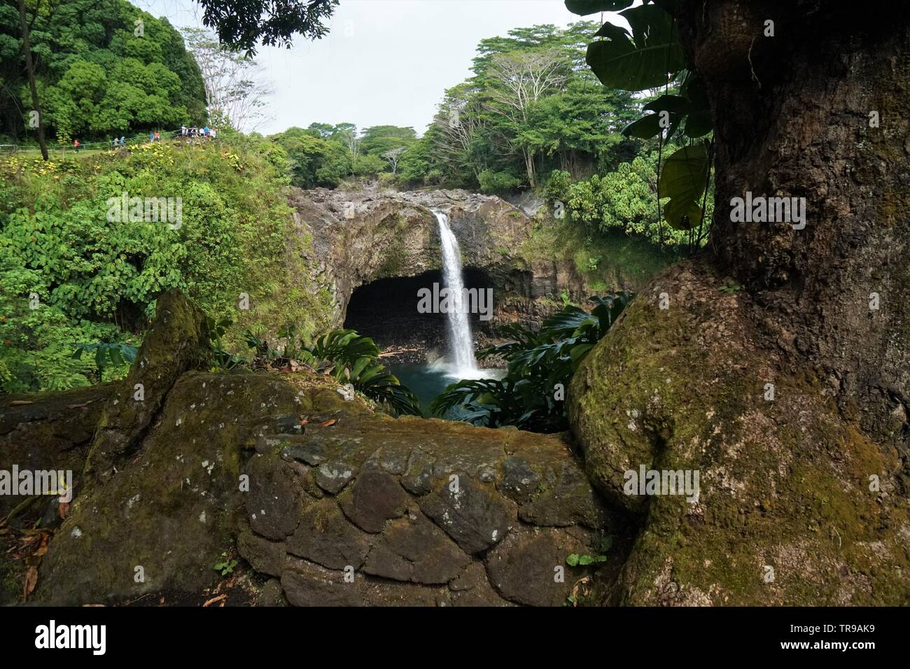 Beautiful Rainbow Falls in Hilo Hawaii seen on a May day Stock Photo ...