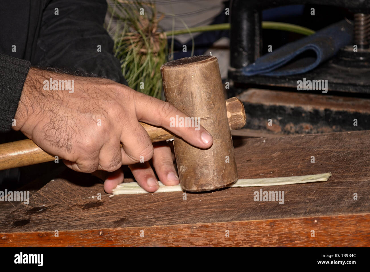 Papyrus Paper Making High Resolution Stock Photography and Images - Alamy