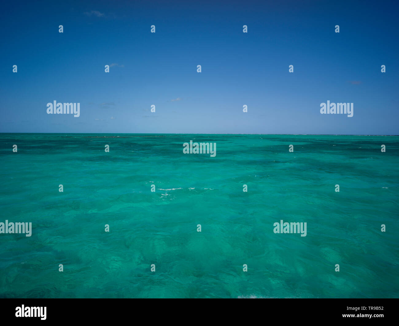 Caribbean Sea, Half Moon Caye, Lighthouse Reef Atoll, Belize Stock ...