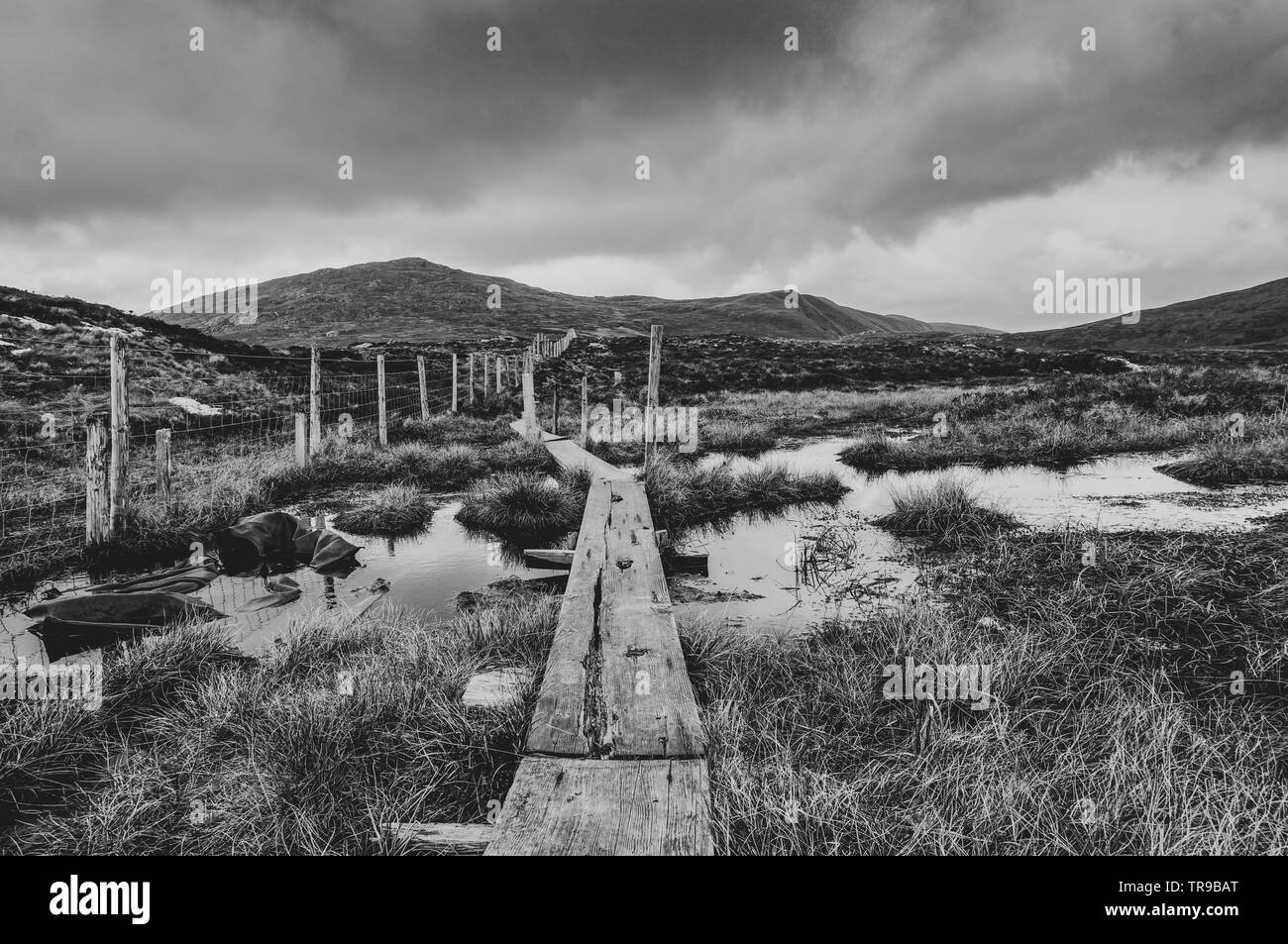 Boggy ground hi-res stock photography and images - Alamy