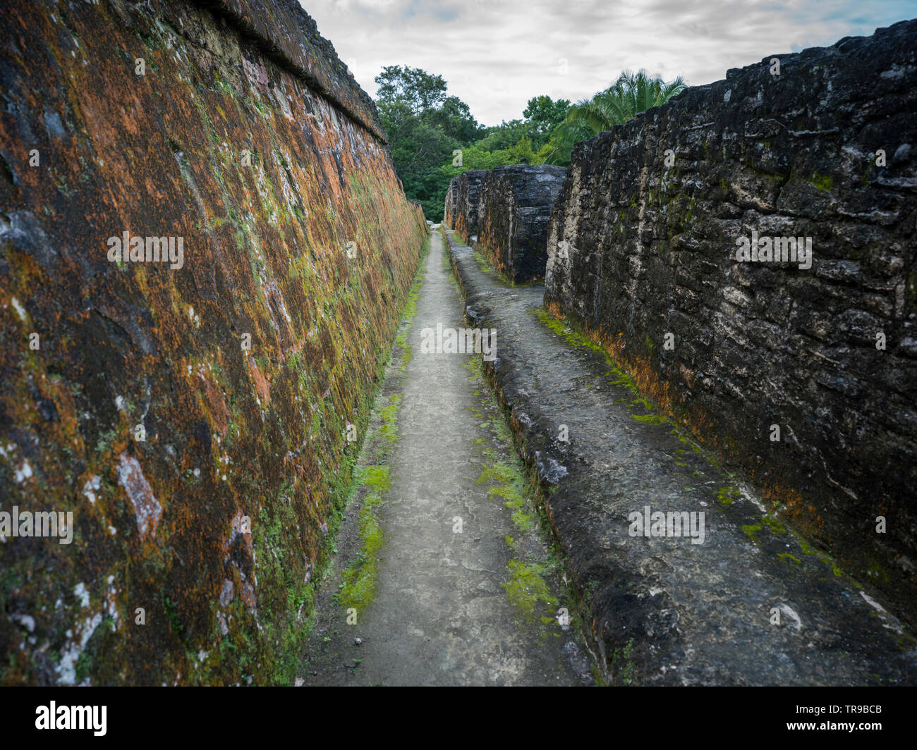 Mayan Ruins, Ancient Mayan Archaeological Site, San Jose Succotz, Cayo ...
