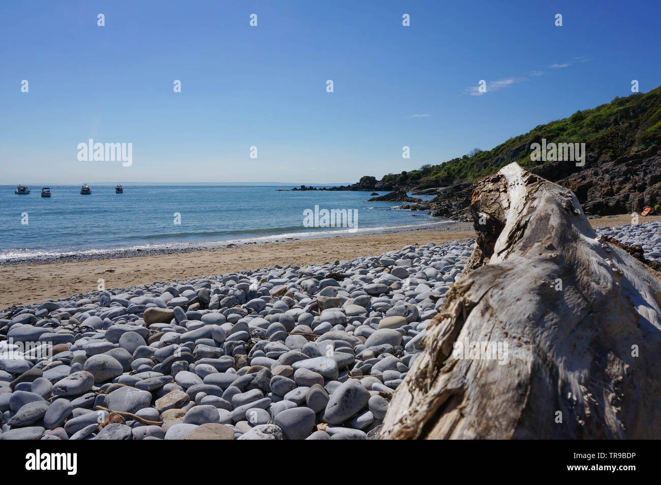 Washed Up Log High Resolution Stock Photography and Images - Alamy
