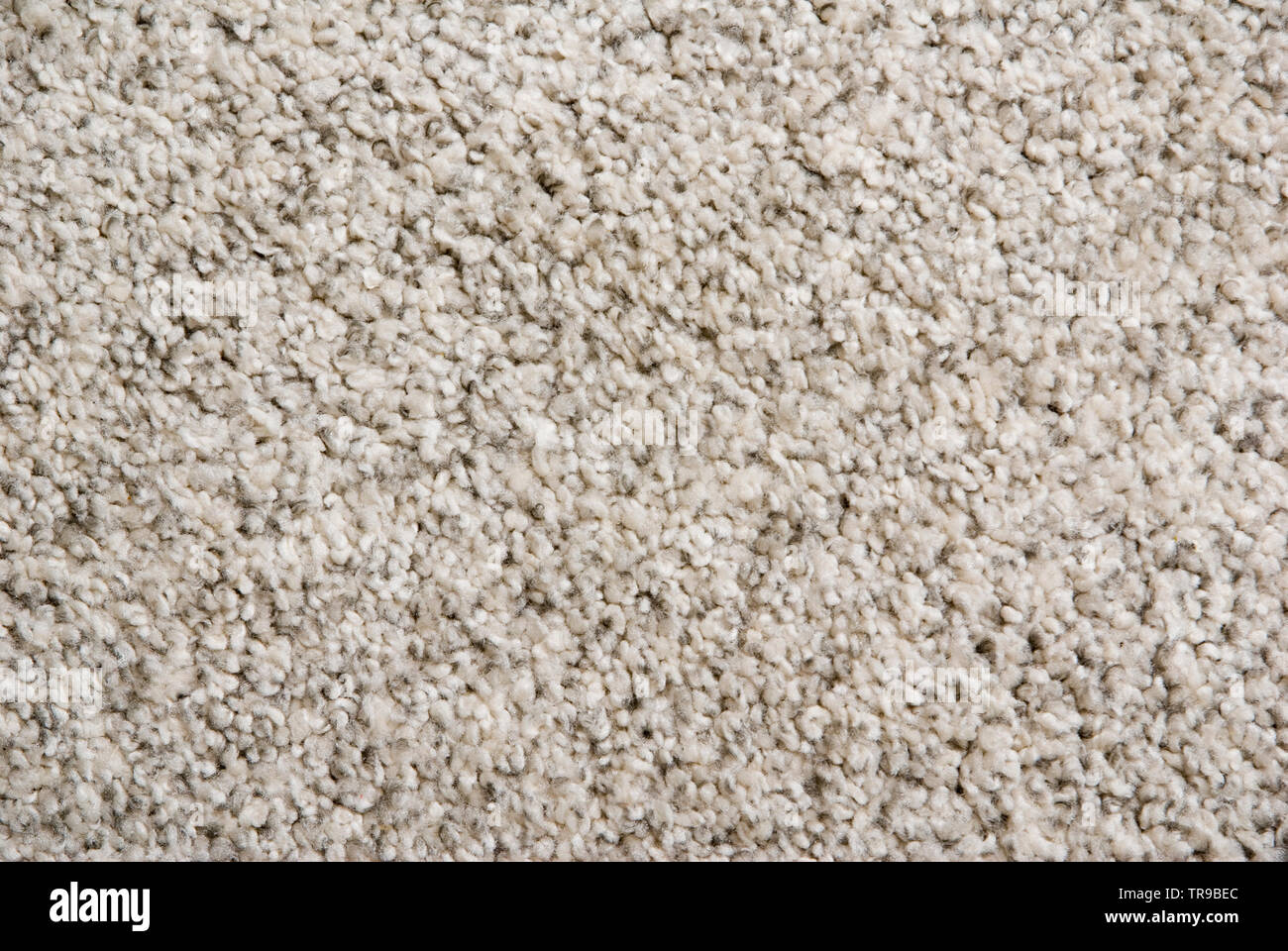 background of a fluffy beige interio carpet Stock Photo - Alamy