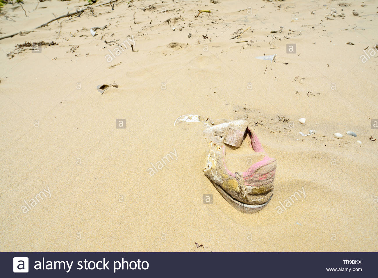 Abandoned Shoe High Resolution Stock Photography and Images - Alamy