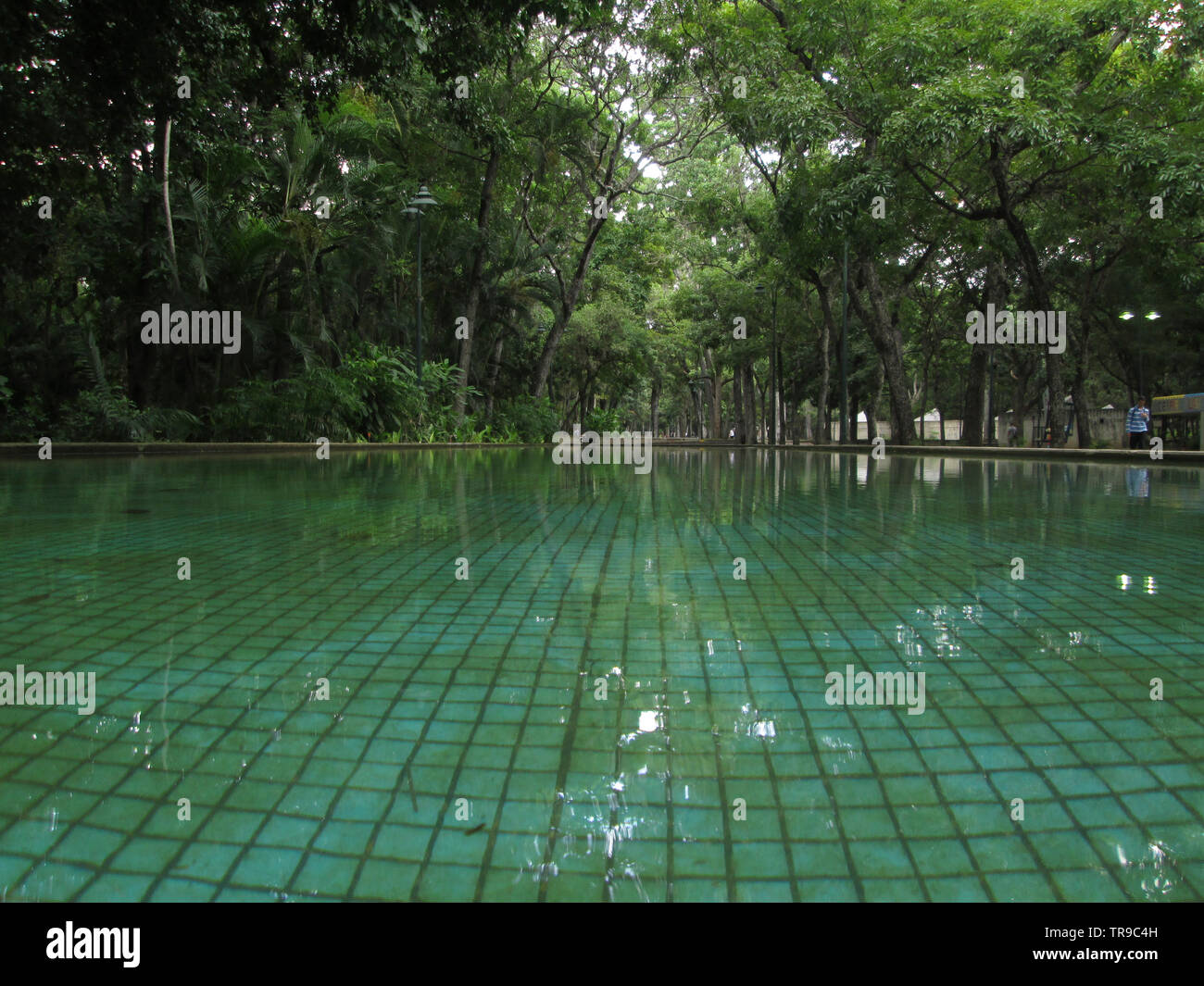 Los caobos hi-res stock photography and images - Alamy