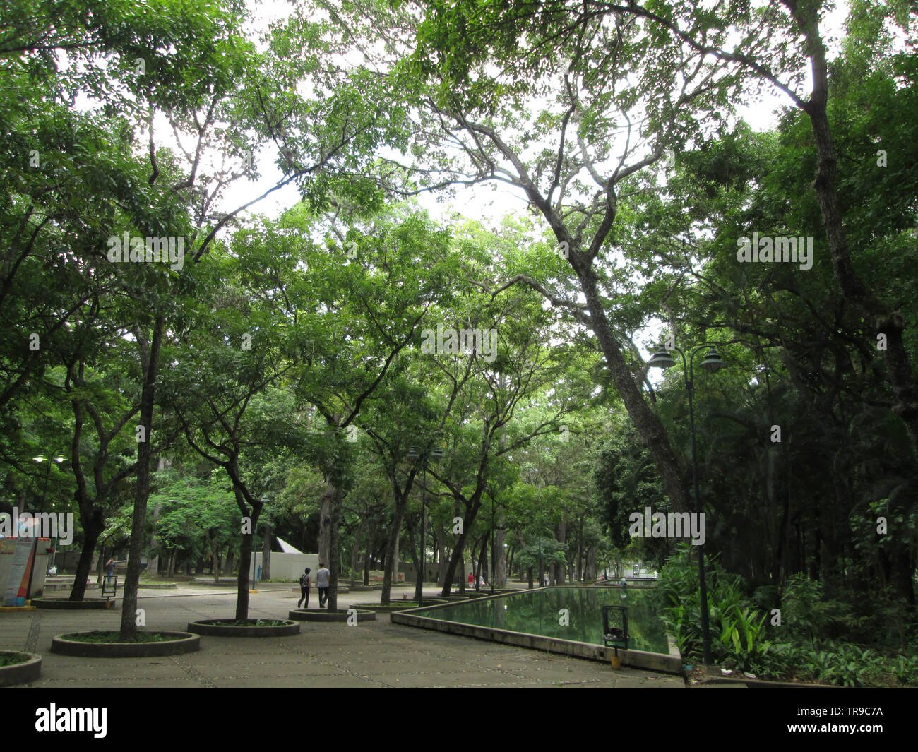 Los caobos park caracas hi-res stock photography and images - Alamy
