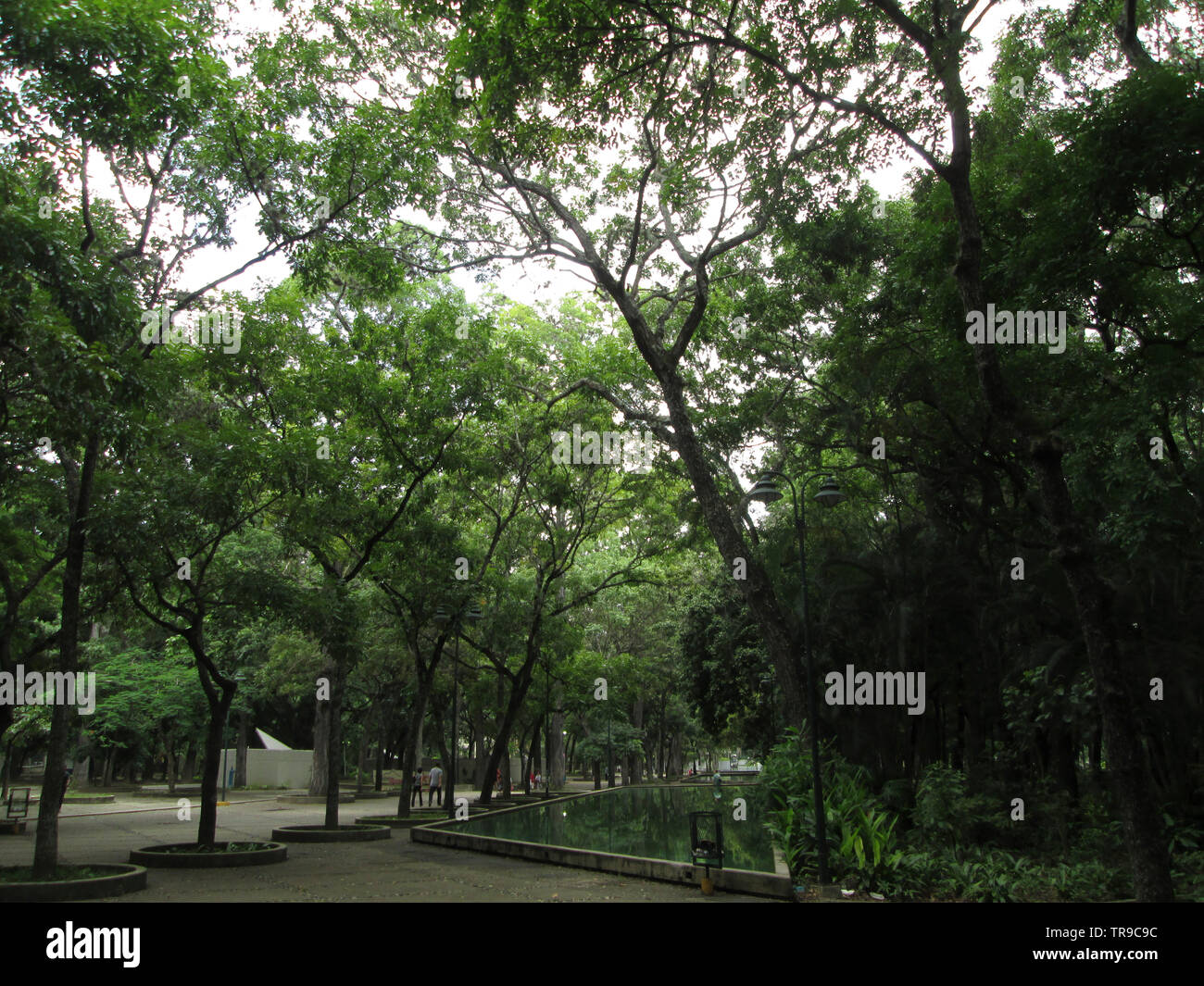 Los caobos hi-res stock photography and images - Alamy