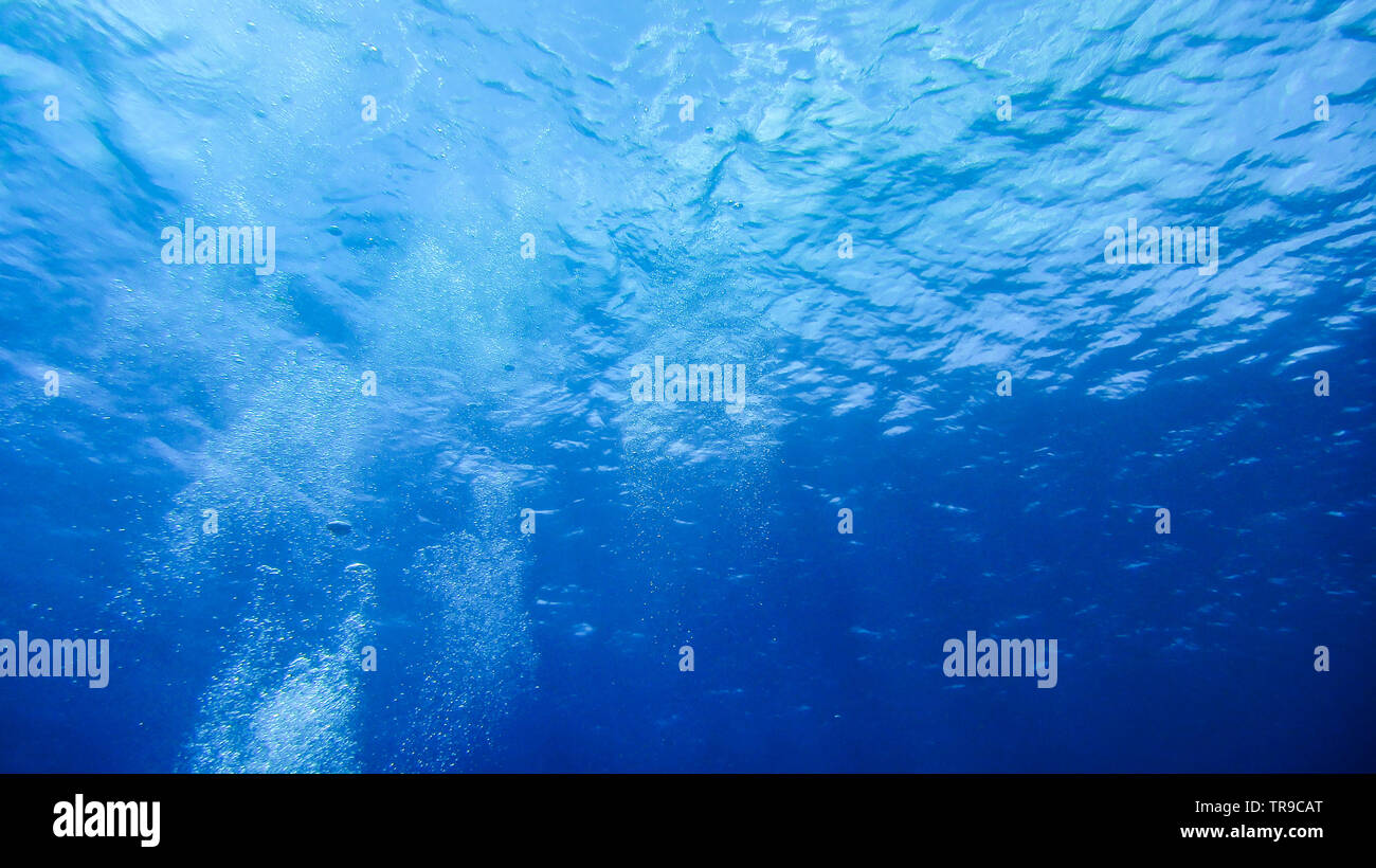 COZUMEL, MEXICO: seabed deep blue underwater Stock Photo - Alamy