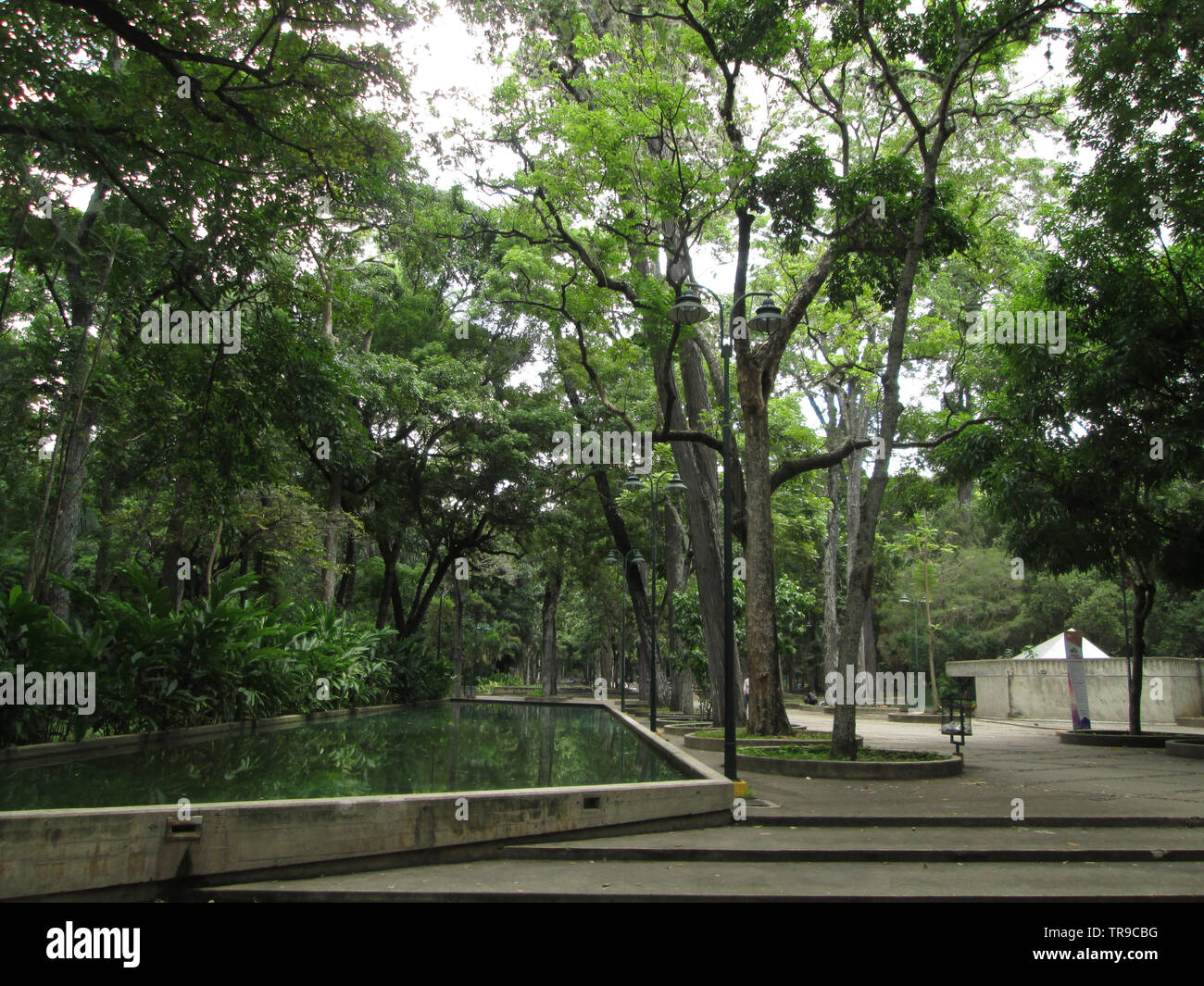Los caobos hi-res stock photography and images - Alamy