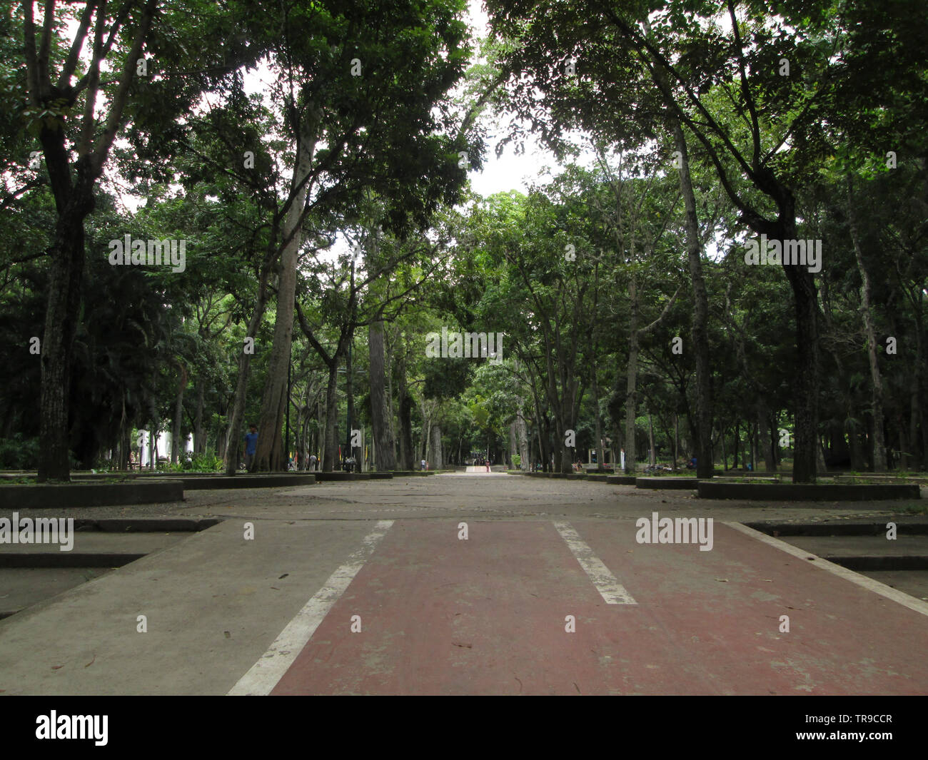 Los caobos park hi-res stock photography and images - Alamy