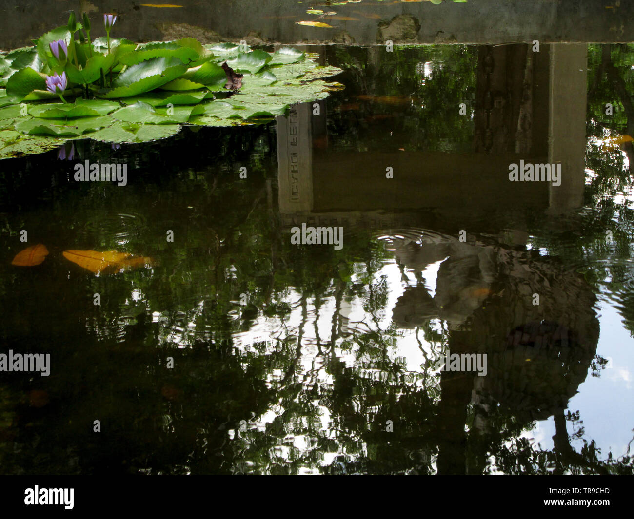 Los caobos park hi-res stock photography and images - Alamy