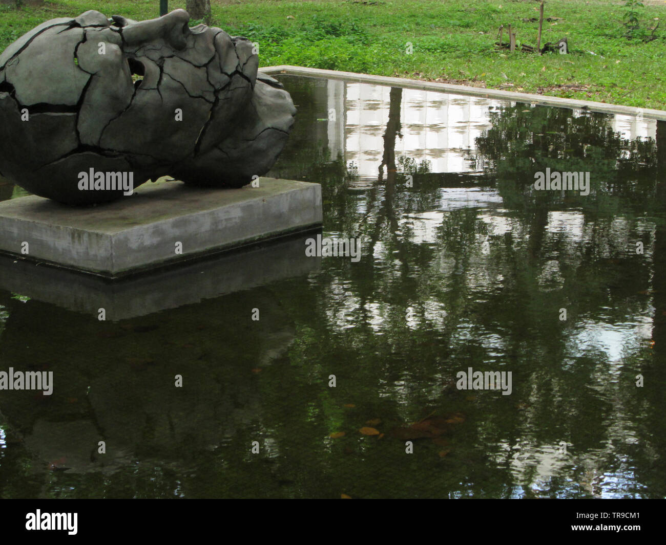 Caracas natural park hi-res stock photography and images - Alamy