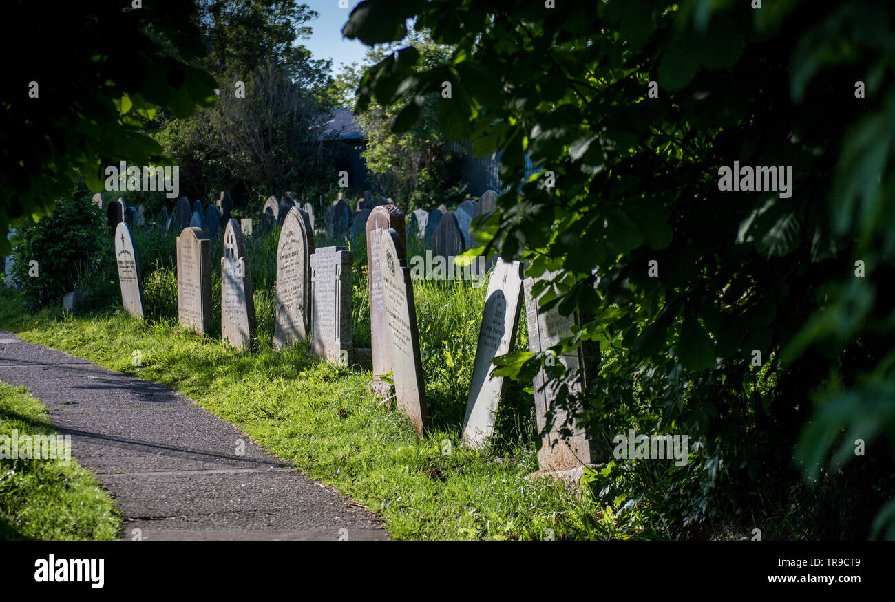 Holy Trinity Church cemetary Barnstaple Stock Photo - Alamy