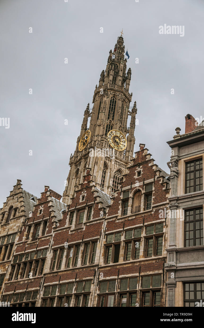 Gothic bell tower with golden clock and typical buildings in Antwerp ...