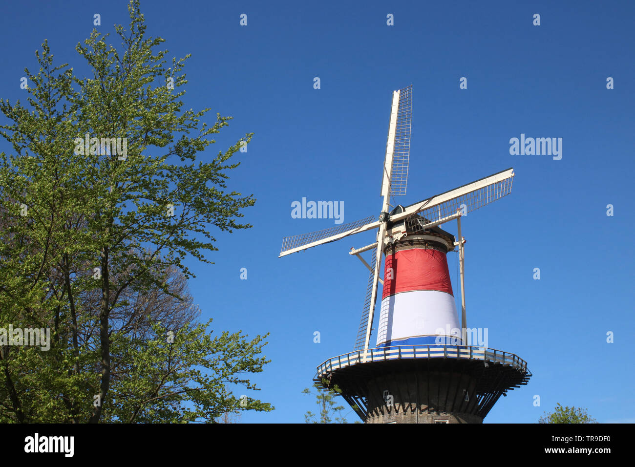 Molen de valk windmill hi-res stock photography and images - Alamy