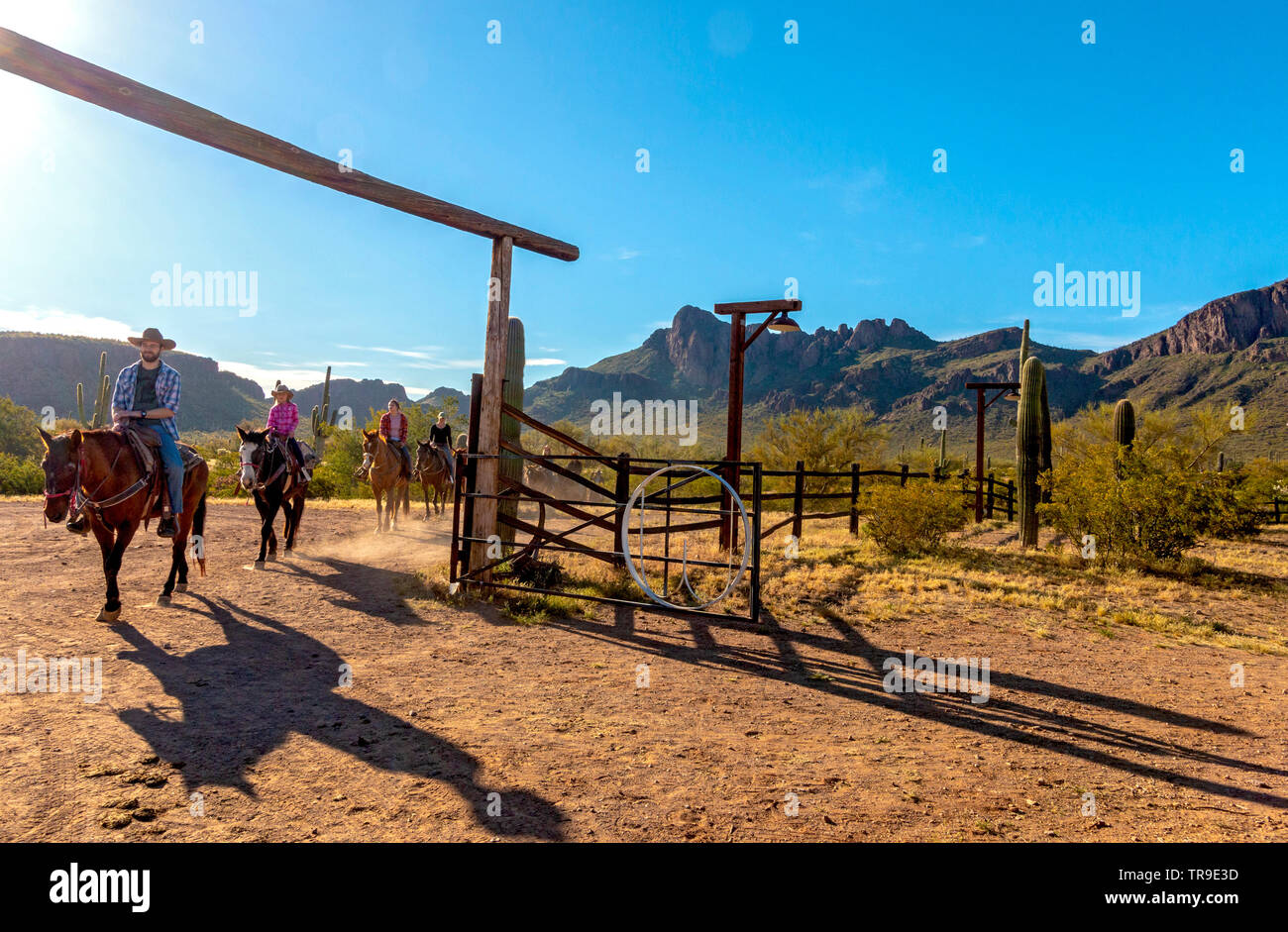 White stallion ranch tucson hi-res stock photography and images - Alamy