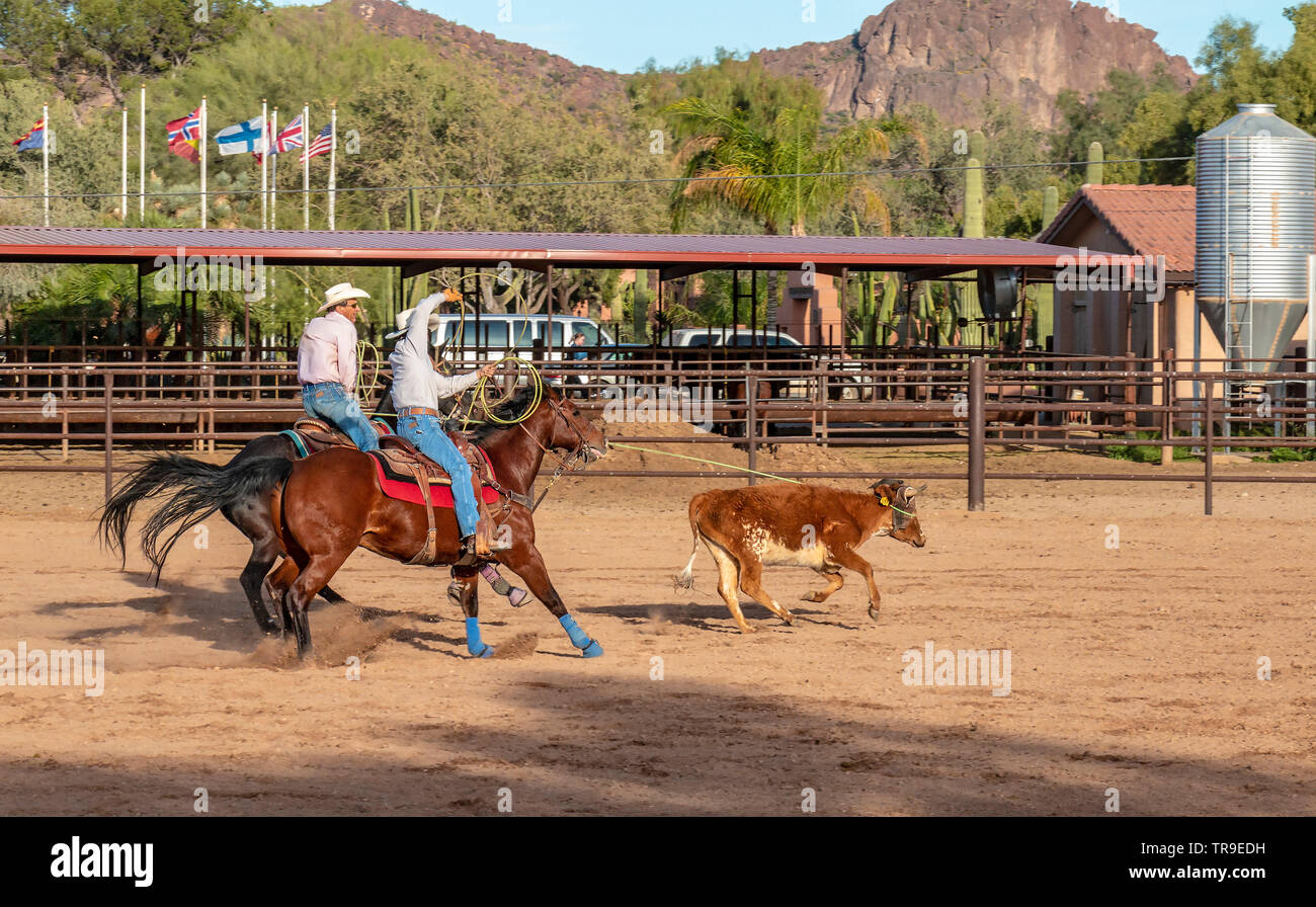 Weekly rodeo at White Stallion Ranch, a dude ranch outside Tucson, AZ ...