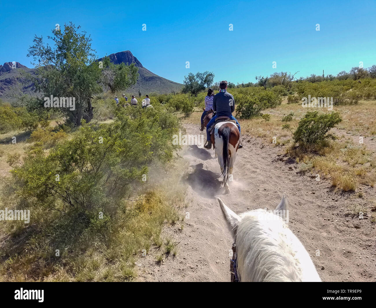 Guests on slow ride at White Stallion Ranch, a dude ranch outside ...