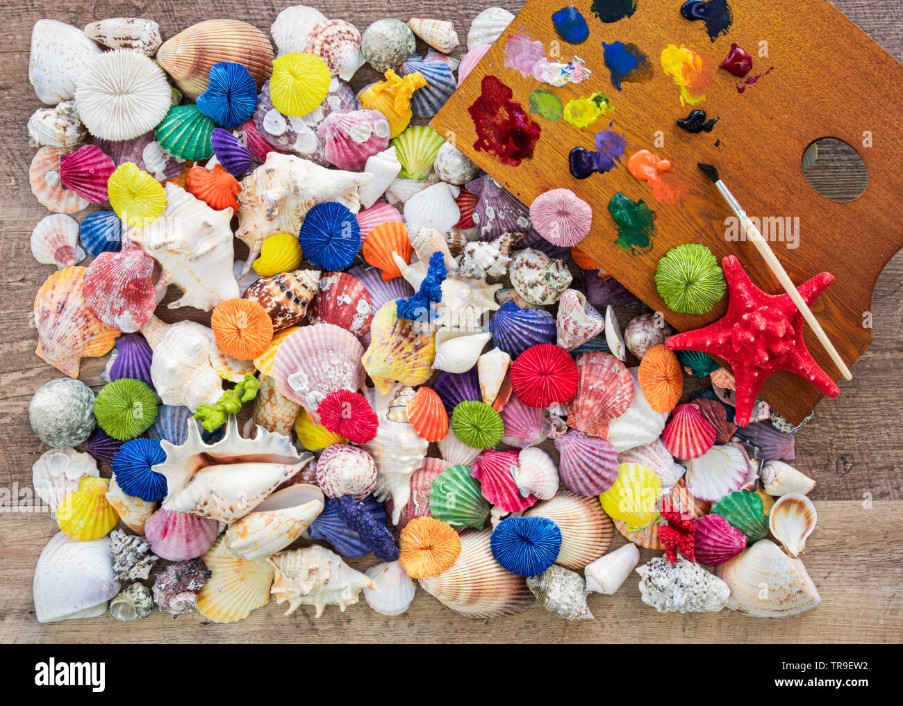 colorful sea shells and a color pallet Stock Photo - Alamy